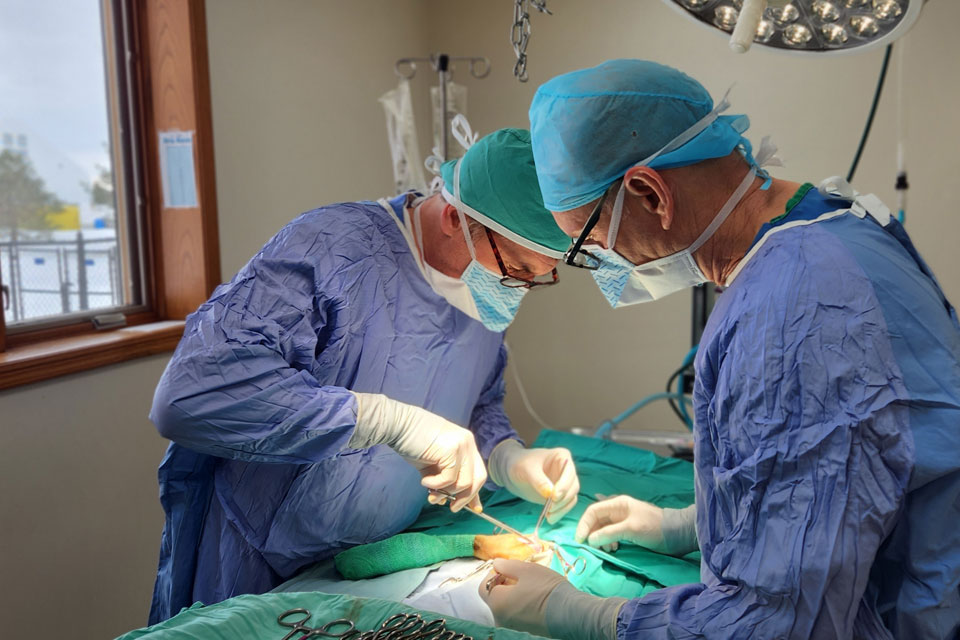 Small Animal - Waseca Vet Clinic